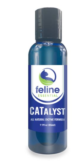 CATalyst - PetMedella