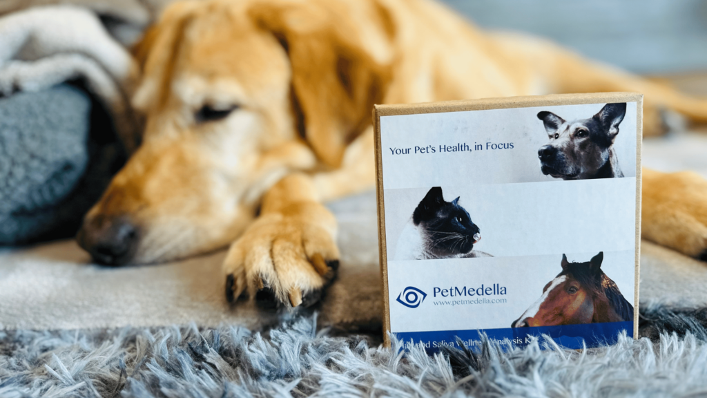 How Does a PetMedella Bioenergetic Test Kit Work? - PetMedella